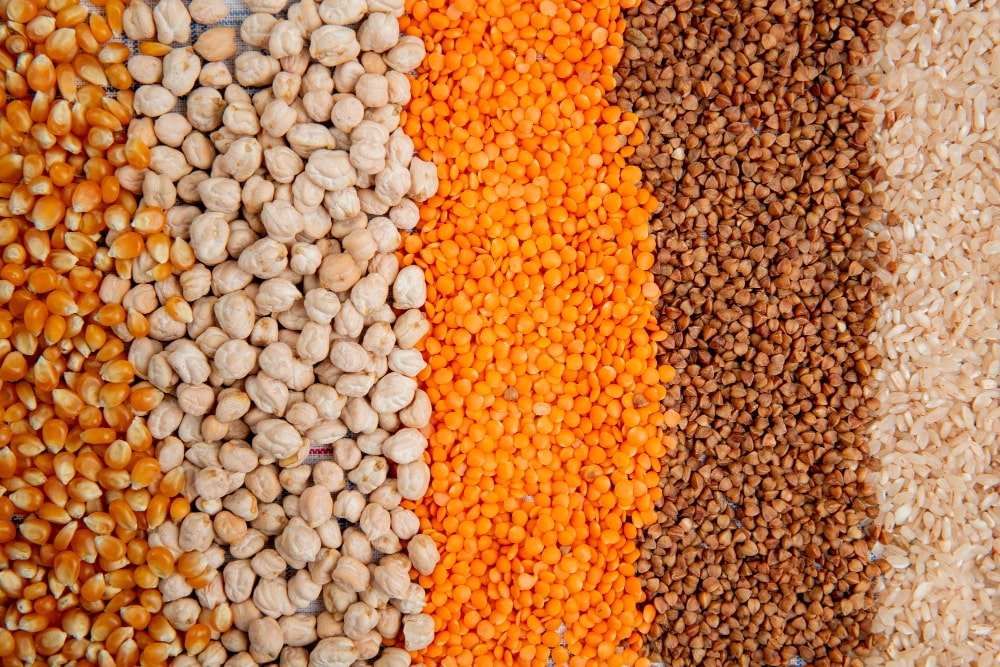 How to Find Free Seeds for Your Garden | Homegrown with Megan